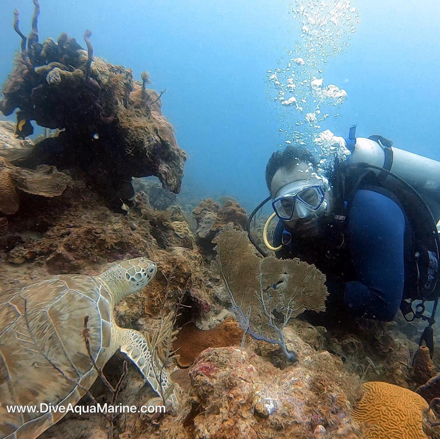 Scuba Diver Certification in USVI | Aqua Marine Dive Center