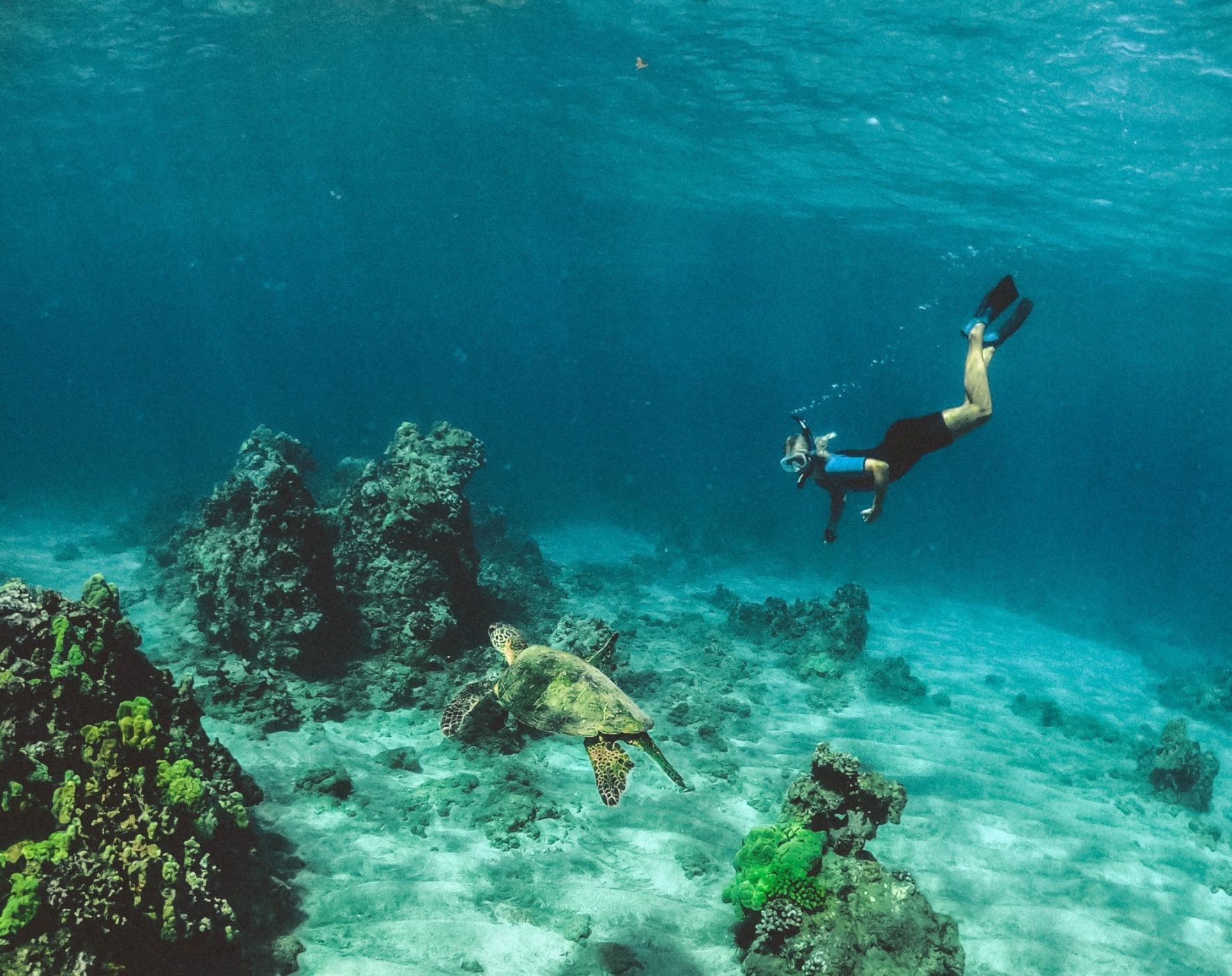 Snorkeling Trips in St. Thomas | Aqua Marine Dive Center